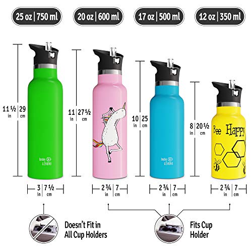 Involve & Evolve Insulated Water Bottle with 3 Lids (Straw Lid) Kids Reusable Double Walled Stainless Steel Flask Metal Thermos 12oz 17oz 20oz 25oz (25 oz, Bare Ocean)