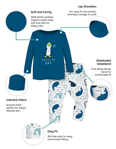 WINK & BLINK Artic Explorer Organic Baby Playwear Setss, 2-Pack Top & Bottom Set, 100% Organic Cotton Baby Clothes 9M