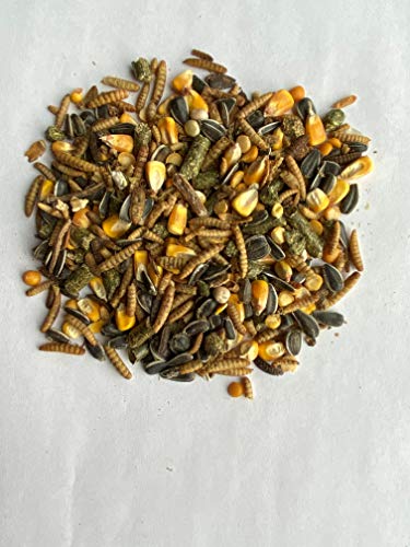 Chicken Feed Treat 10 lbs | USA Produced Grubs (Black Fly Larvae) & Organic Whole Grains
