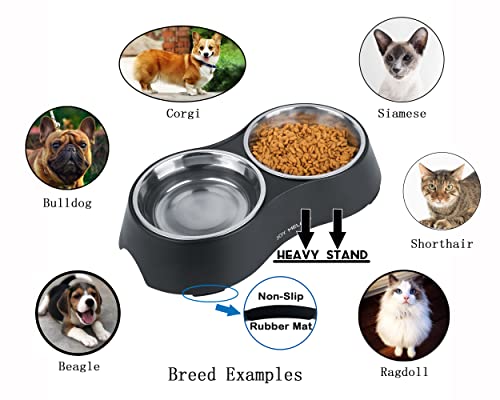 Joy Melody Cat Bowls with Stand for Food and Water, Anti-Slip Elevated Small Dog Dish, Anti-Flip Raised Pet Feeder, Dishwasher Safe with Microfiber Cloth