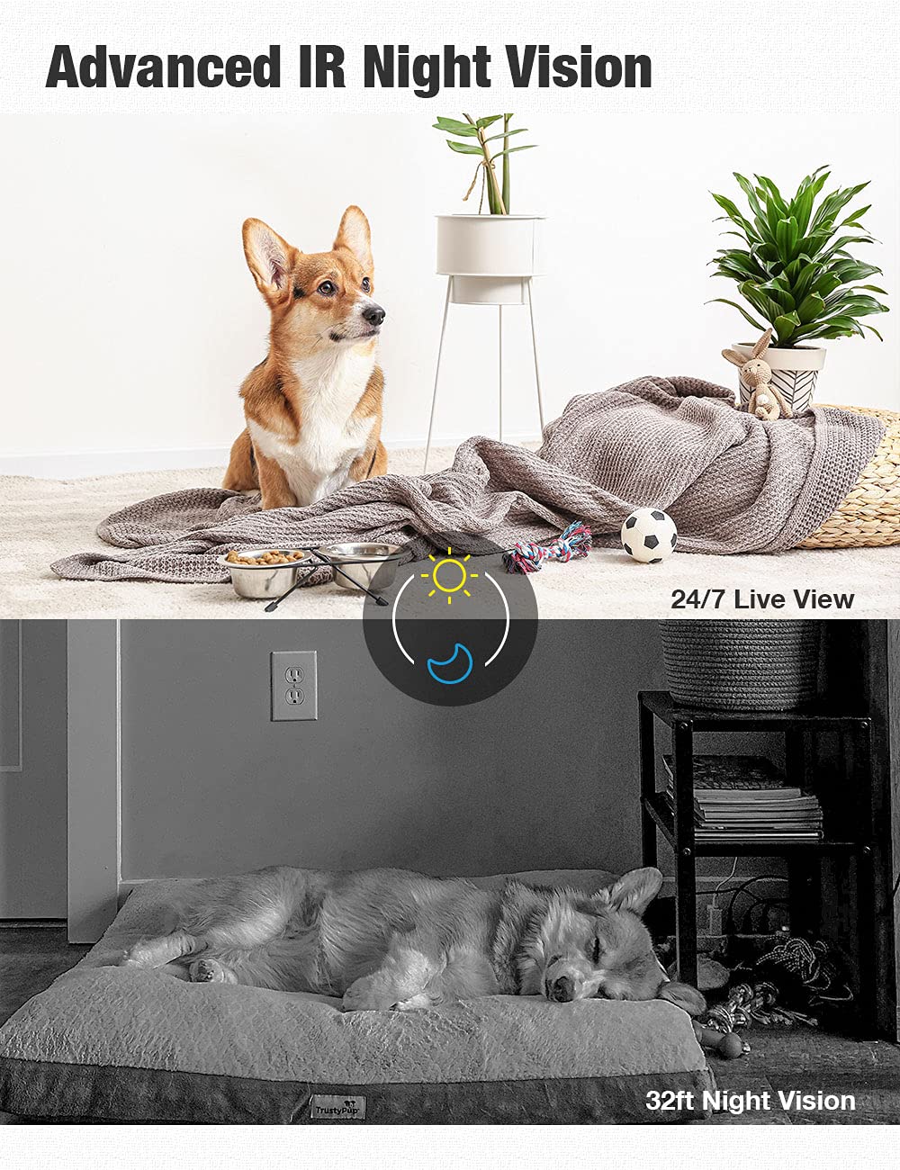 eazieplus Pet Camera, Indoor Security Cam with 2-Way Talk Remote Live View, 2.4GHz WiFi,1080P Night Vision, Motion/Sound Detection, Compatible with Alexa for Home Baby Elder Surveillance