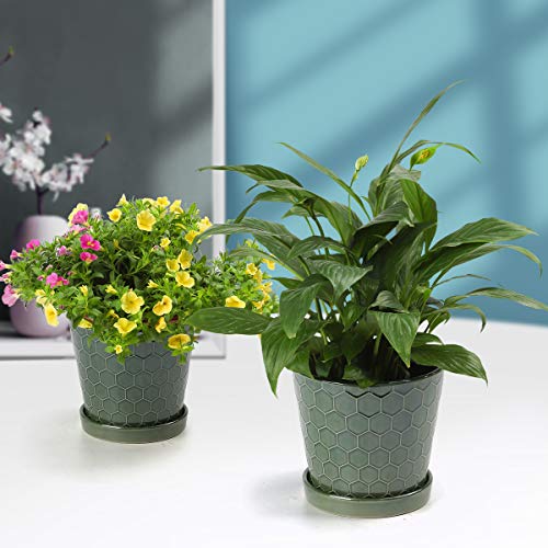 BUYMAX Succulent Planter β4β+5β+6β inch Ceramic Flower Pot with Drainage Holes and Ceramic Tray - Gardening Home Desktop Office Windowsill Decoration Gift Set 3 - Plants NOT Included (Patina)