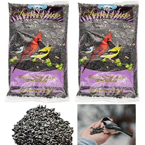 2 Bags Wild Bird Black Oil Sunflower Seeds Food Protein Nutrition Attract Birds, Variable