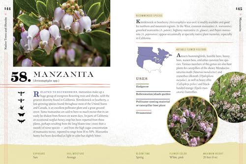 100 Plants to Feed the Bees: Provide a Healthy Habitat to Help Pollinators Thrive