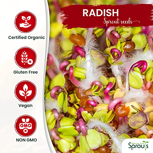 Nature Jims Radish Sprout Seeds β 16 Ounce Organic Sprouting Seeds β Non-GMO Premium Radish Seeds β Resealable Bag for Longer Freshness β Rich in Vitamins, Minerals, Fiber