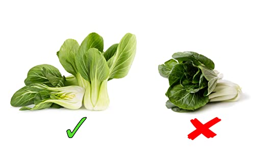 1000 Bok Choy Seeds - Shanghai Green Stem - Heirloom Non-GMO Vegetable Seeds for Planting - AKA Pak Choi, Pok Choi, Chinese Cabbage