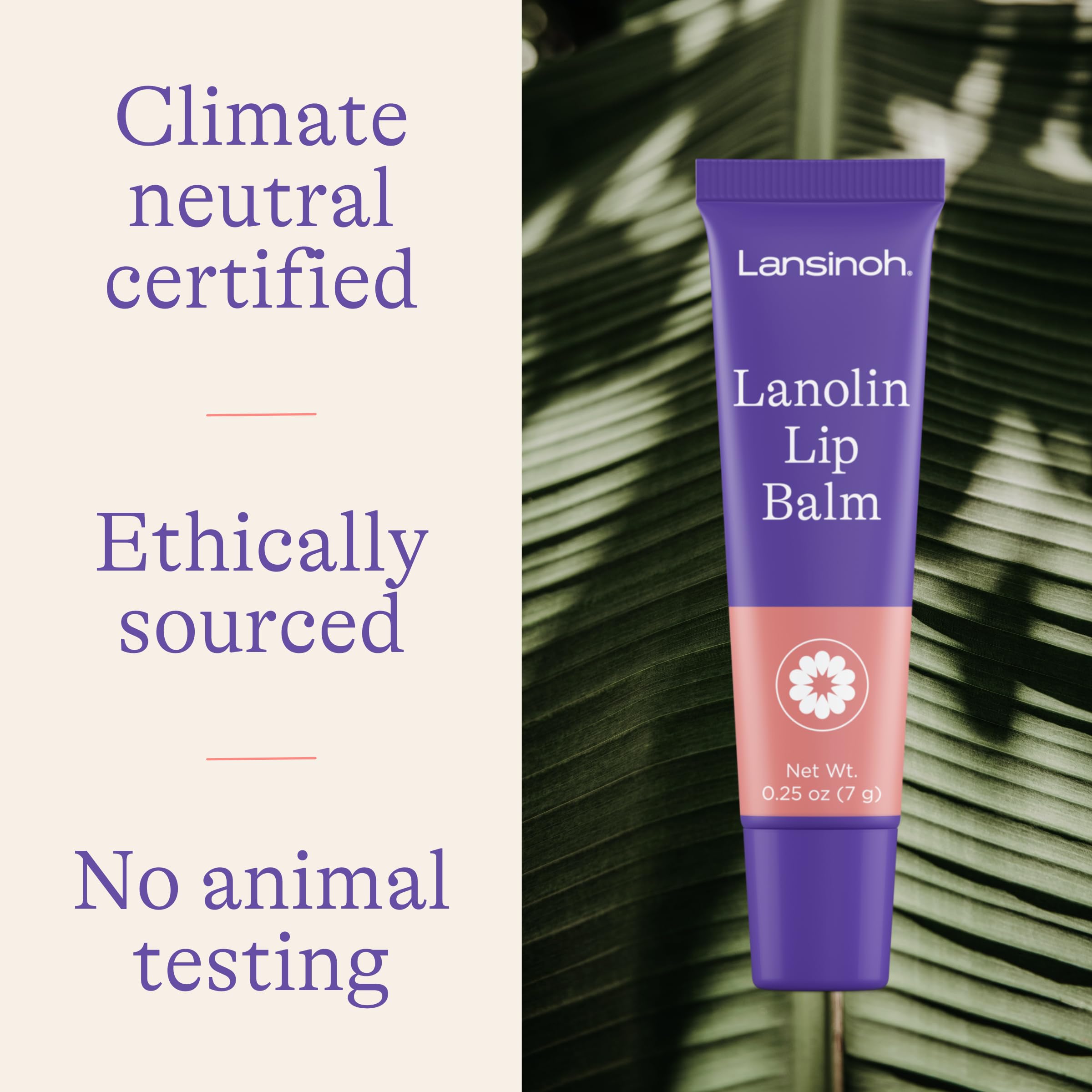 Lansinoh Lanolin Lip Balm, Moisturizing Lip Care, 4 Pack, 0.25 Ounces Each