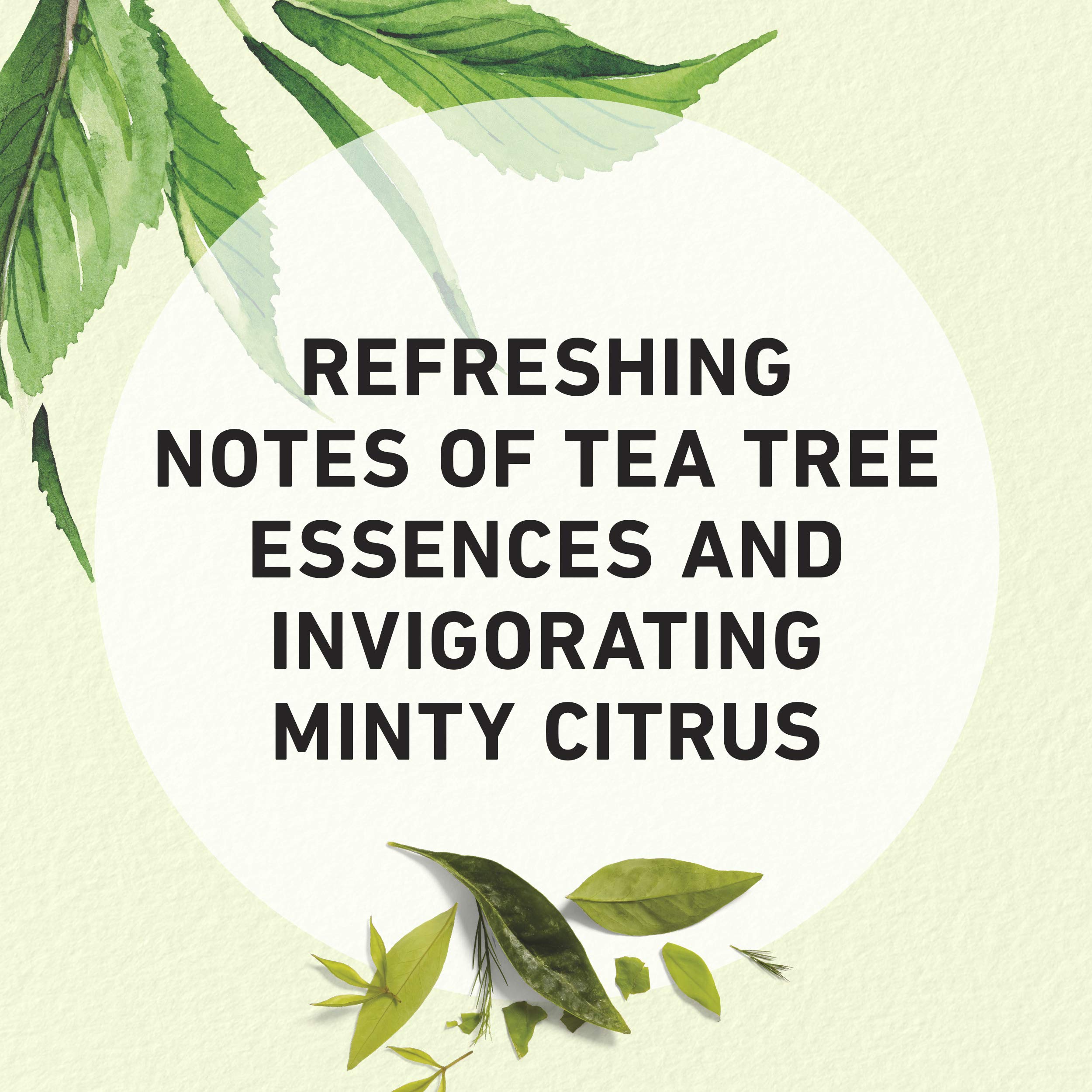Herbal Essences Purifying Conditioner, Tea Tree, 29.2 Fl Oz, 7.640 Fl Oz