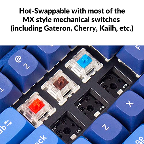 Keychron Q1 RGB Wired Custom Mechanical Keyboard, 75% Layout QMK/VIA Programmable Macro with Hot-swappable Gateron G Pro Blue Switch Double Gasket Compatible with Mac Windows Linux (Blue) -Version 2