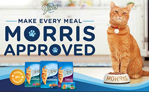 9Lives Crunchy Cat Treats, Chicken & Turkey Flavor, 2.1 Ounce Bag (Pack Of 12)