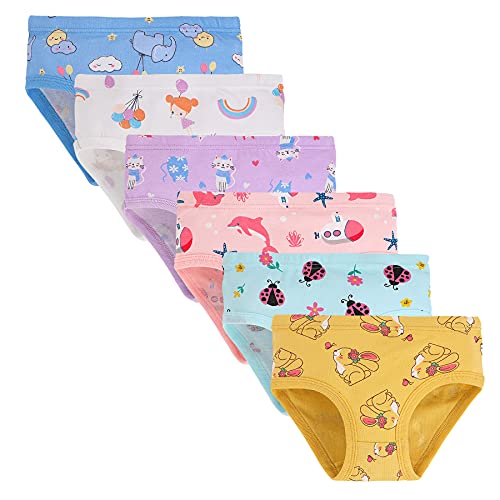 Baby Soft Cotton Underwear Little Girls'Briefs Toddler Training undershirts (Pack Of 6) 2t Rose