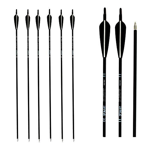 12 Pack Archery Carbon Arrows 350 Spine Shafts with Field Points for Compound and Recurve Bows Target Shooting Hunting(31 Inch)