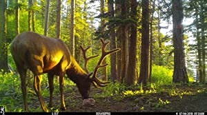 Browning Trail Cameras Strike Force HD Pro-X Camera with 32 GB SD Card,Batteries,and Spudz Microfiber Cloth Screen Cleaner