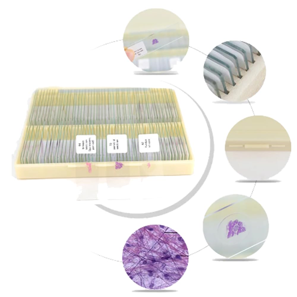 100pcs/set Teaching Microscope Human Histology Glass Prepared Slides