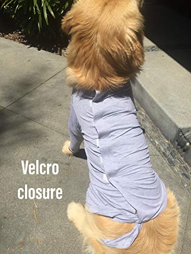 Short Sleeve Shirt for Dogs New! from POP FOR PETS (Large Red) - Better Than The Cone! POPforPETS Cotton Shirt for Larger Dogs. The Most Comfortable Alternative for Recovery!