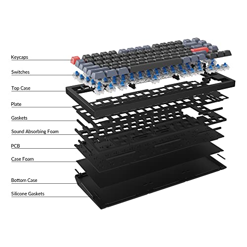 Keychron Q1 RGB Wired Custom Mechanical Keyboard, QMK/VIA Programmable Macro with 75% Layout Hot-swappable Gateron G Pro Blue Switch Double Gasket Compatible with Mac Windows Linux (Black) -Version 2