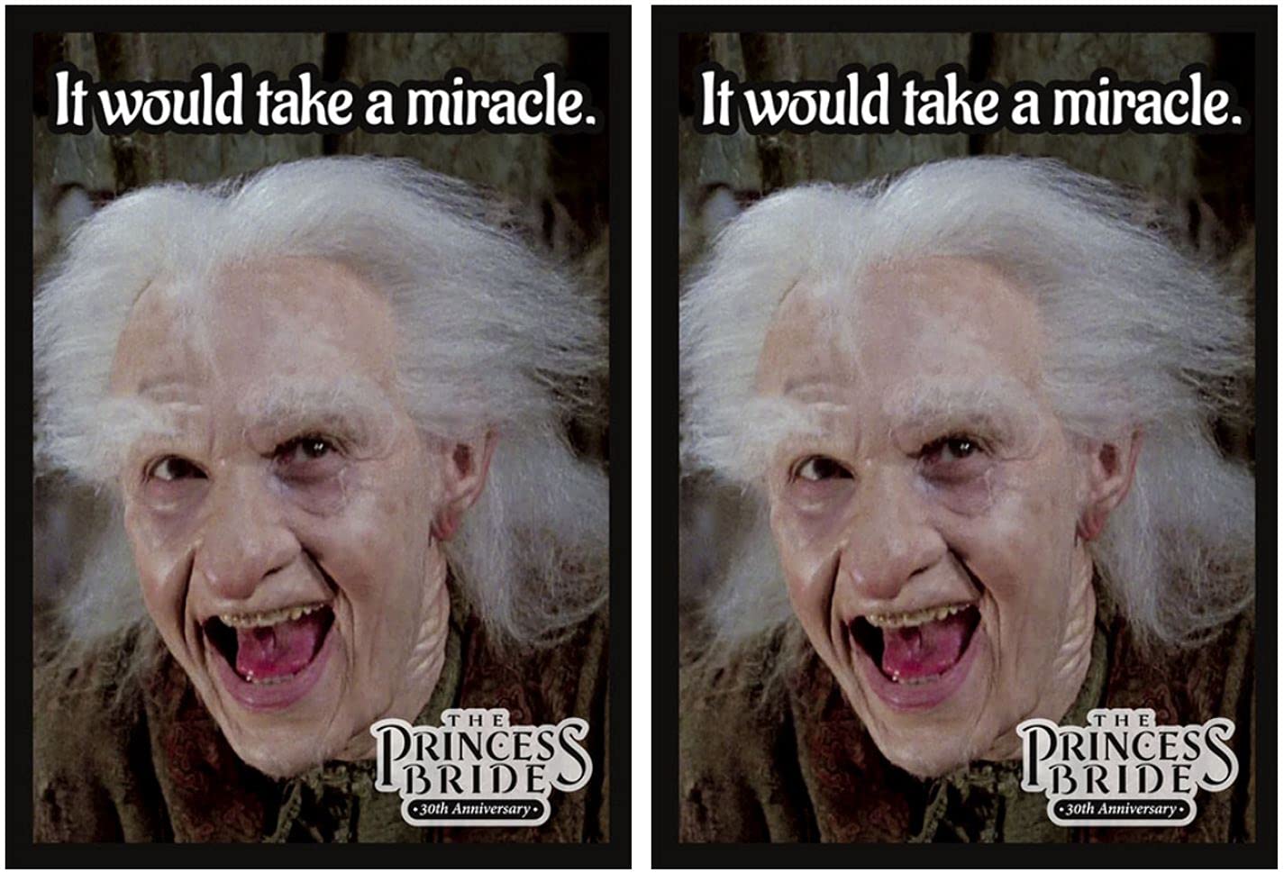 100 Legion Supplies Princess Bride It Would Take a Miracle Deck Protector Sleeves