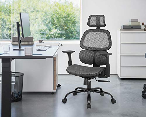 Ergonomic Office Chair, Desk Chair Computer Chair with Adjustable Arms Lumbar Support Swivel Rolling High Back Mesh Task Chair