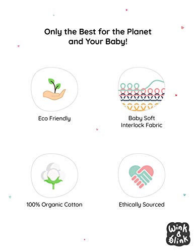 WINK & BLINK Artic Explorer Organic Baby Playwear Setss, 2-Pack Top & Bottom Set, 100% Organic Cotton Baby Clothes 9M