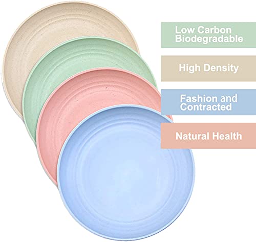 DeeCoo 10 Inch Wheat Straw Deep Dinner Plates - Microwave and Dishwasher Safe, Unbreakable Sturdy Plastic Dinner Plates - Set of 6 - Healthy Cereal Dishes/Kids-toddler & Adult