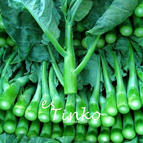 100pcs Chinese Kale Seeds Cabbage Mustard Green Vegetable Seeds Home Garden Bonsai Hot Resistant Vegetable Potted Plant DIY