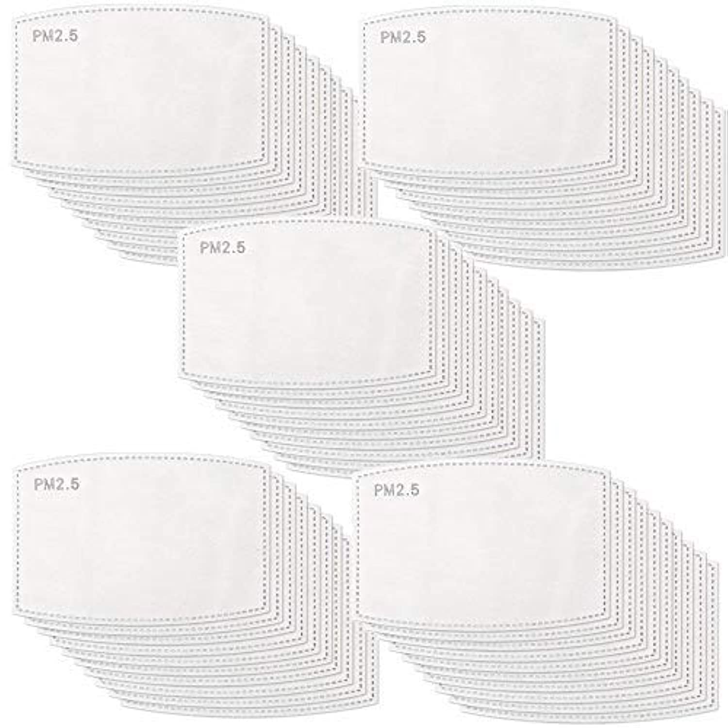 100 pack PM 2.5 Activated Carbon Filter Insert Ship from USA