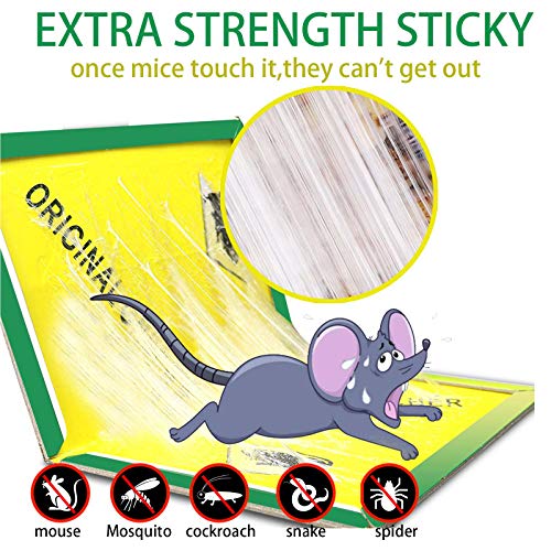 Ezoon 12 Pack Large Mouse Glue Traps with Enhanced Stickiness, Rat Mouse Traps, Snake Mouse Traps Sticky Pad Board for House Indoor Outdoor, Easy to Set, Extra Large (8.3" x 12")