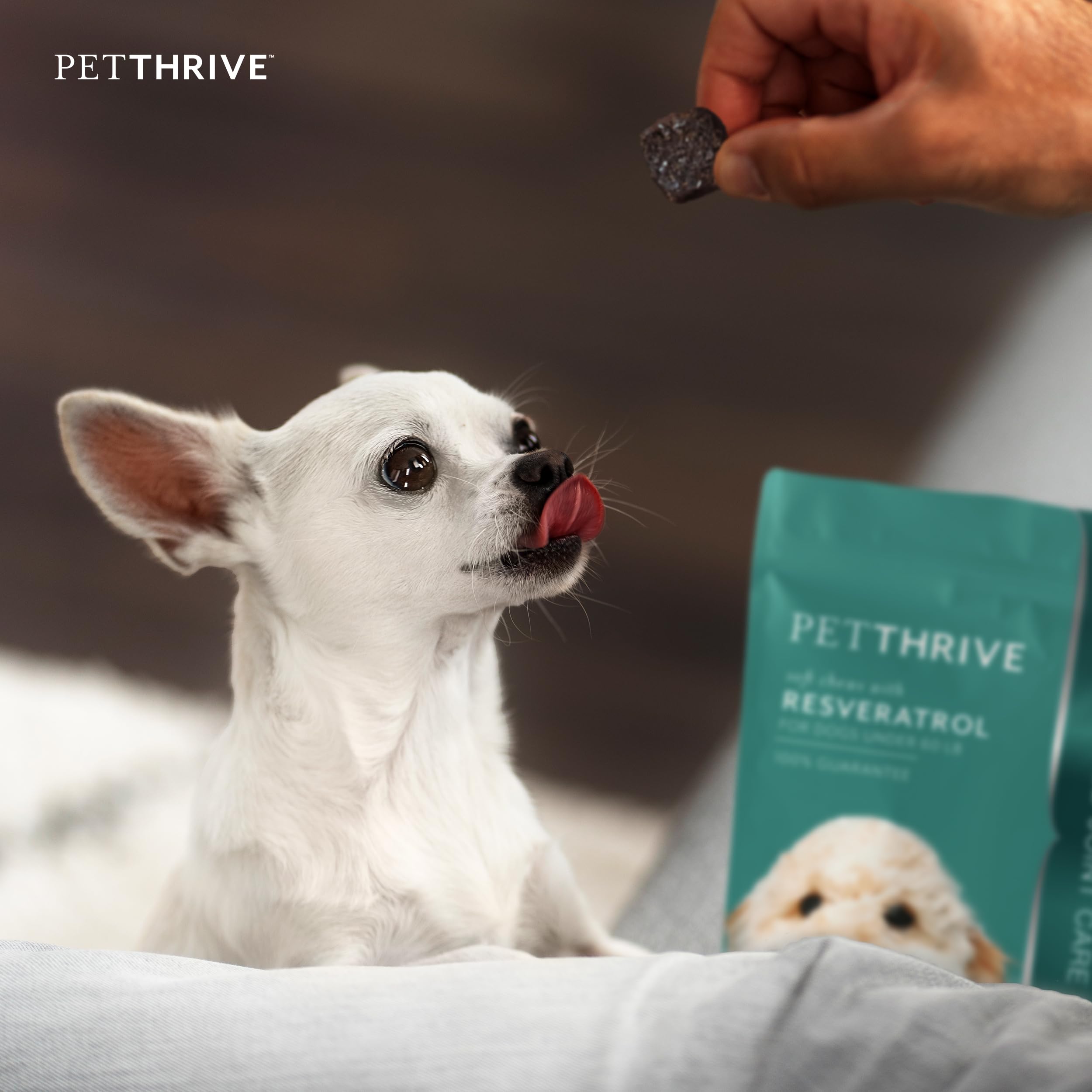 PetThrive Dog Hip and Joint Support Supplement Soft Chews with Resveratrol, Glucosamine, Chondroitin, Hyaluronic Acid, Bacon Flavor, Small Breed