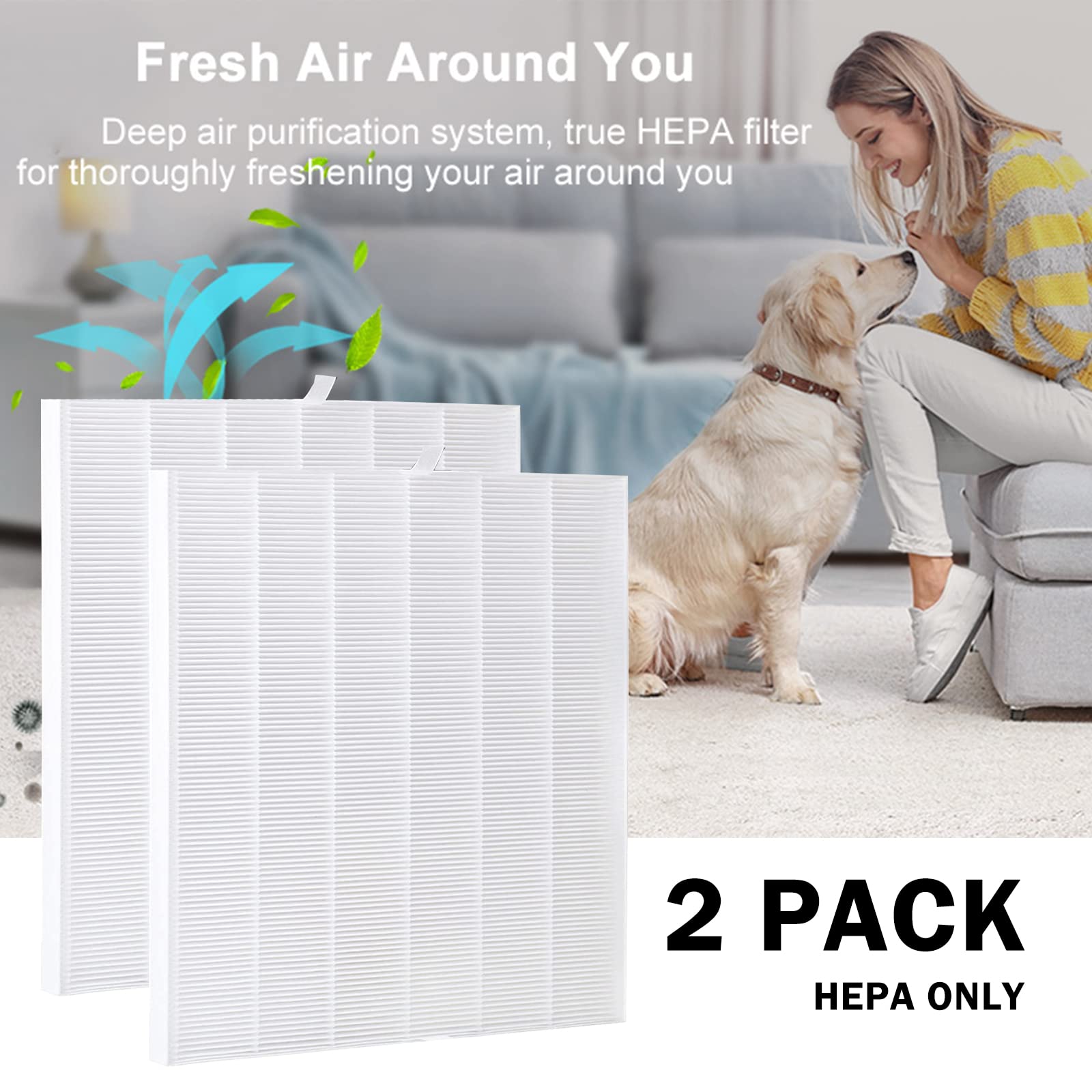 116130 True HEPA Replacement Filter H Compatible with Winix 5500-2 Air Purifier and Models AM80, True HEPA Filter only 2 Pack