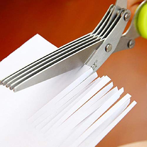 BENEKIY Scissors Herb Stripper Tools Kits 5-Blades Stainless Steel Scissors with Kitchen Herb Stripping Tool, Safe Cover, Cleaning Comb Multipurpose Kitchen Chopping Shear, Mincer