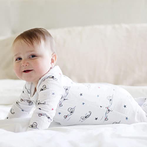 aden + anais Layette, Baby Boys' Long Sleeve Zipper One-Piece, Otters, 3-6M