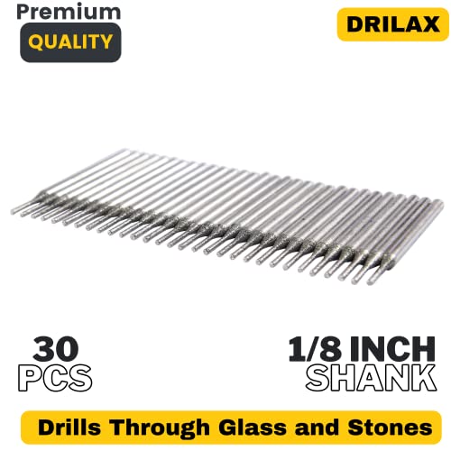 1mm Diamond Drill Bit Bur Set Jewelry Beach Sea Glass Shells Gemstones 1/24 Inch Tip Bur 1/8 inch Shank Dremel Compatible Burr Lapidary 30 Pieces in Case Gems Natural Stones Drilling 1 mm
