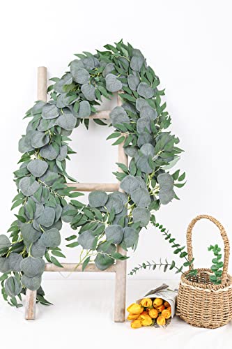 10 Pcs 6.2 Feet Artificial Silver Dollar Eucalyptus Leaves Garland with Willow Vines Twigs Leaves String for Doorways Greenery Garland Table Runner Garland Indoor Outdoor.…
