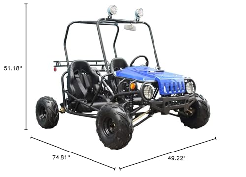 110cc Youth Go Kart Kids Go Cart Gokart 2 Seater Go Kart with Gloves, Google and Handgrip (Black)