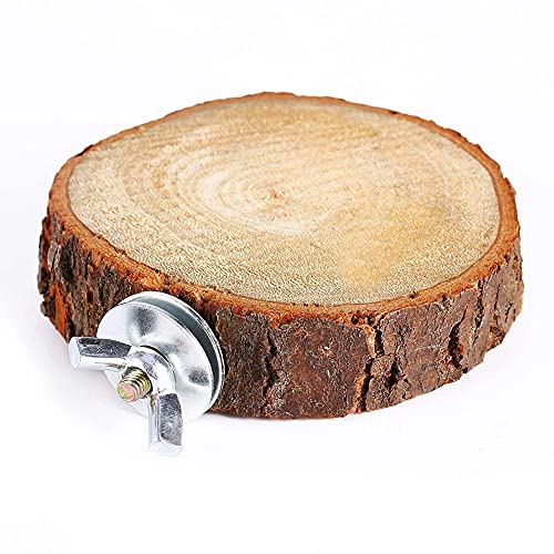 Parrot Wood Round Stand, Natural Wooden Bird Cage Chew Toy Bird Perch Platform for Canary Parakeet Cockatiel Parrot Sparrow