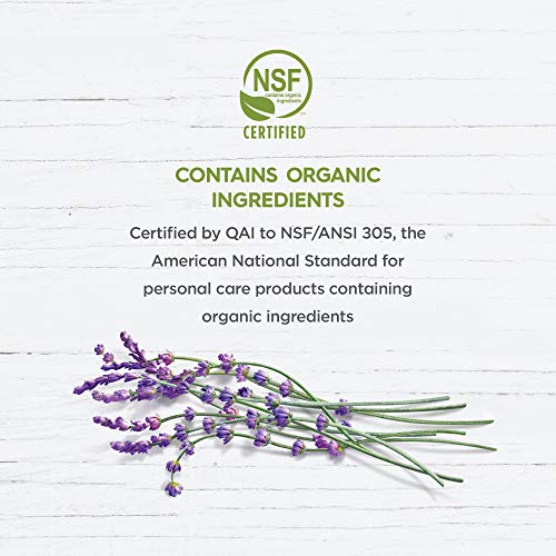 Avalon Organics Tea Tree Shampoo & Conditioner, 32 Oz Each-Scalp Treatment, Oily, Dandruff-prone, Nourishing, Itchy Scalp, Unisex