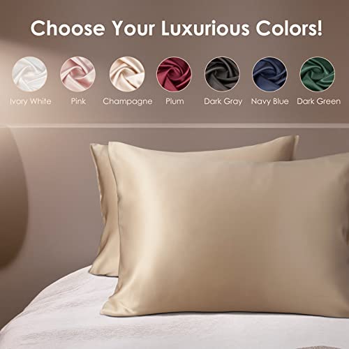 100% Pure Mulberry Silk Pillowcase for Hair and Skin with Hidden Zipper - 22 Momme Premium 6A Grade, 600 Thread Count, Silk Pillow Cases Standard Size 20"x26" (Dark Green, 1pc, with Gift Box)
