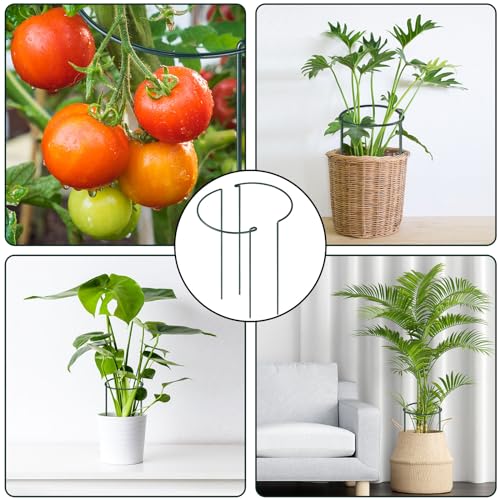 12 Pack Plant Support Stakes, Peony Cages and Supports Large 10" Wide x 24" High Tall Peony Ring Supports, Garden Plant Stakes for Outdoor Plants Rose, Tomato, Hydrangea, Flowers