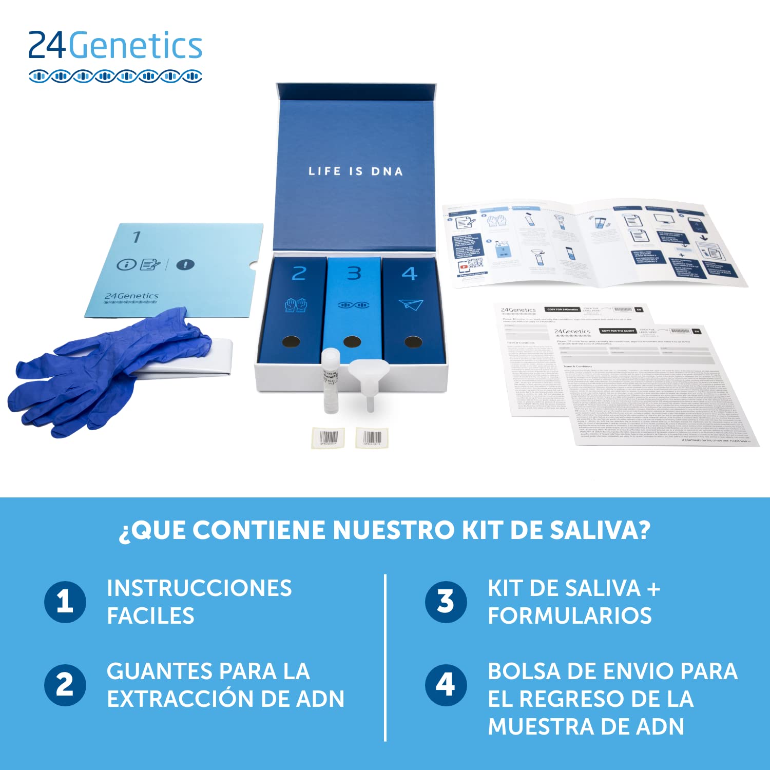 24Genetics - 6 in 1 DNA Test: Health, Nutrigenetics, Sport, Skin Care, Pharmacogenetics and Ancestry - Complete Genetic Test - Get All Our Reports at The Best Price