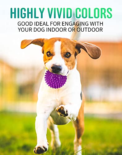 2.5" Squeaky Dog Balls for Small Medium Dogs, 6 Pack Small Dog Chew Toys with Spike, Puppy Toys for Teeth Cleaning and Training