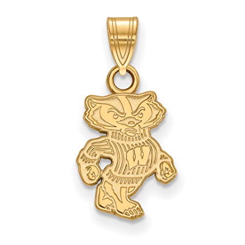 10k Yellow Gold University of Wisconsin Badgers Bucky Mascot Pendant 15x10mm