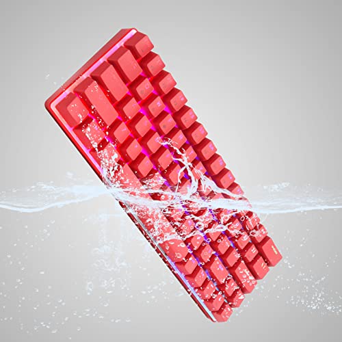 IEMUDJ CQ63 Mechanical Keyboard, Wired Bluetooth Gaming Keyboard, RGB Backlit, Brown Switch, Bluetooth 5.0, 63 Keys Layout, for Desktop, Laptop, Mac, Tablet, Smartphone, Gaming and Office