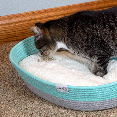 Kitty City Premium Natural Catnip