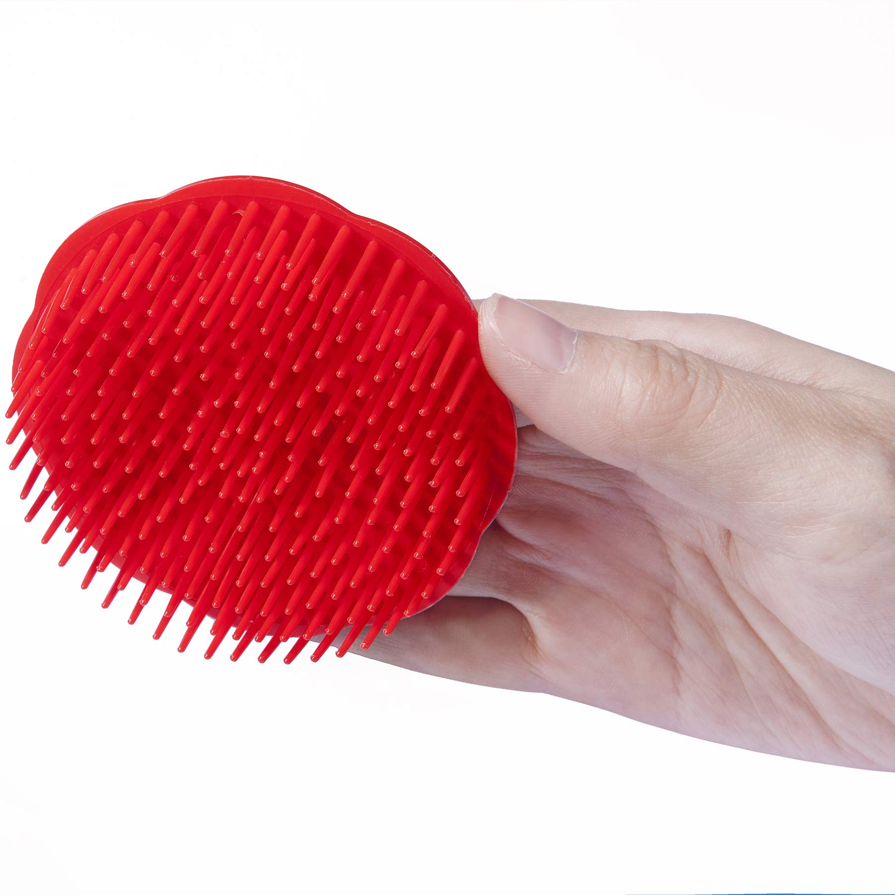 Aroveea Hair Scalp Brush Dandruff Cleaning Brush Shower Scalp Shampoo Brush Scalp Massager Pack of 4 (Black and red)