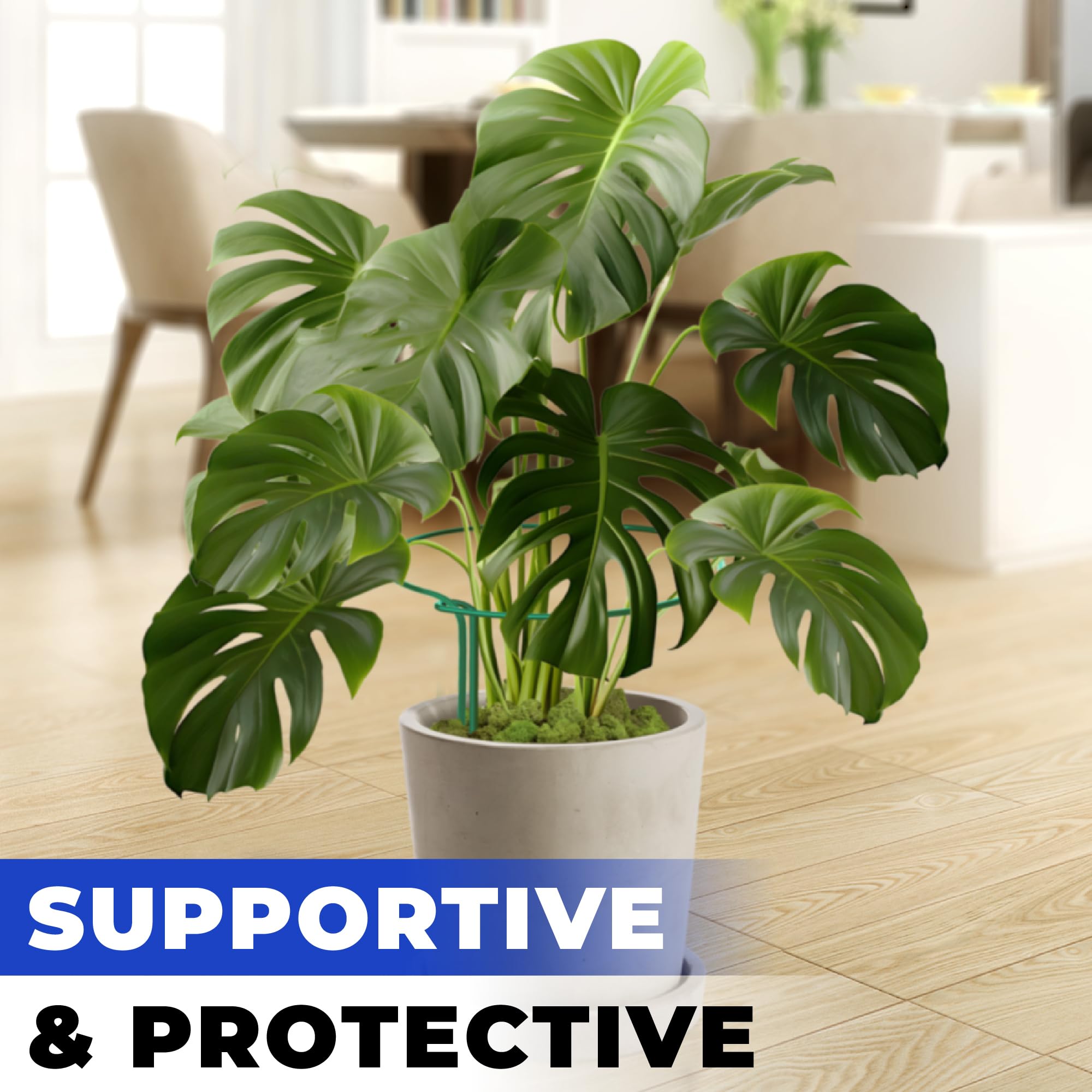 12 Pack Tall Snake Plant Support Stakes β 10" W x 24" H Half Round Peony Cages and Supports for Indoor and Outdoor Plants β Plant Cage Ring Support for Flower - Peony, Tomato, Hydrangea, Rose Bush