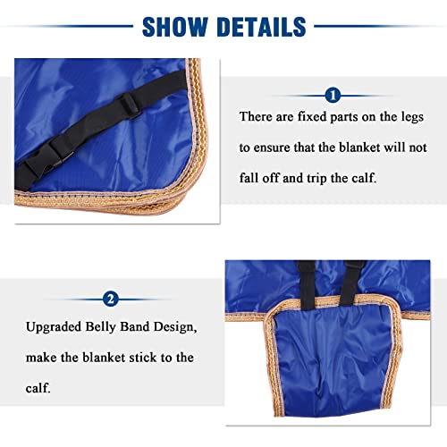 2 of Calf Blanket Winter Adjustable Calf Coat Waterproof Oxford Fabric with Belly Band for Farm Livestock