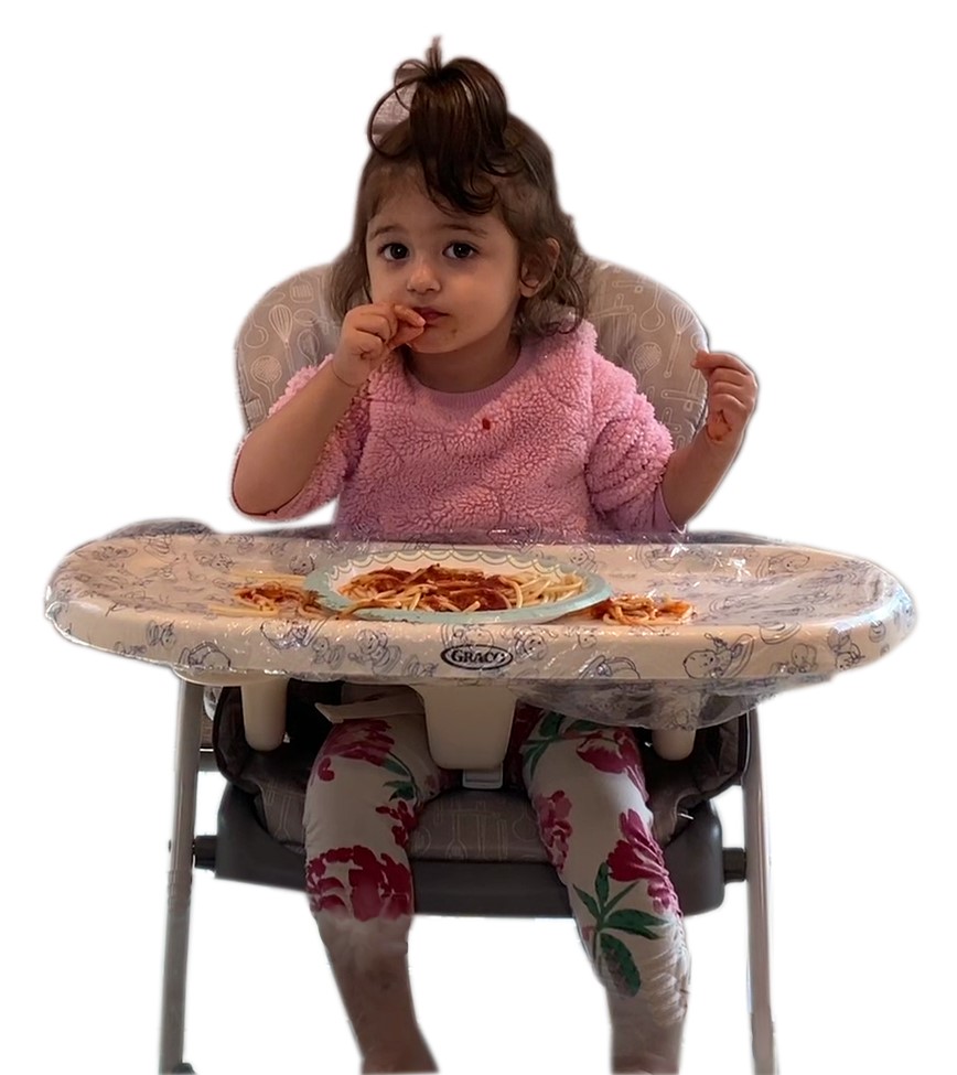 Pristine Aid Toddler Table Cover for Highchair – 8Pcs Set High Chair Cover Compatible with Standard Trays – Disposable and Practical Design – Ideal for Non-Messy Experiences, Baby Weaning … (8 PCS)