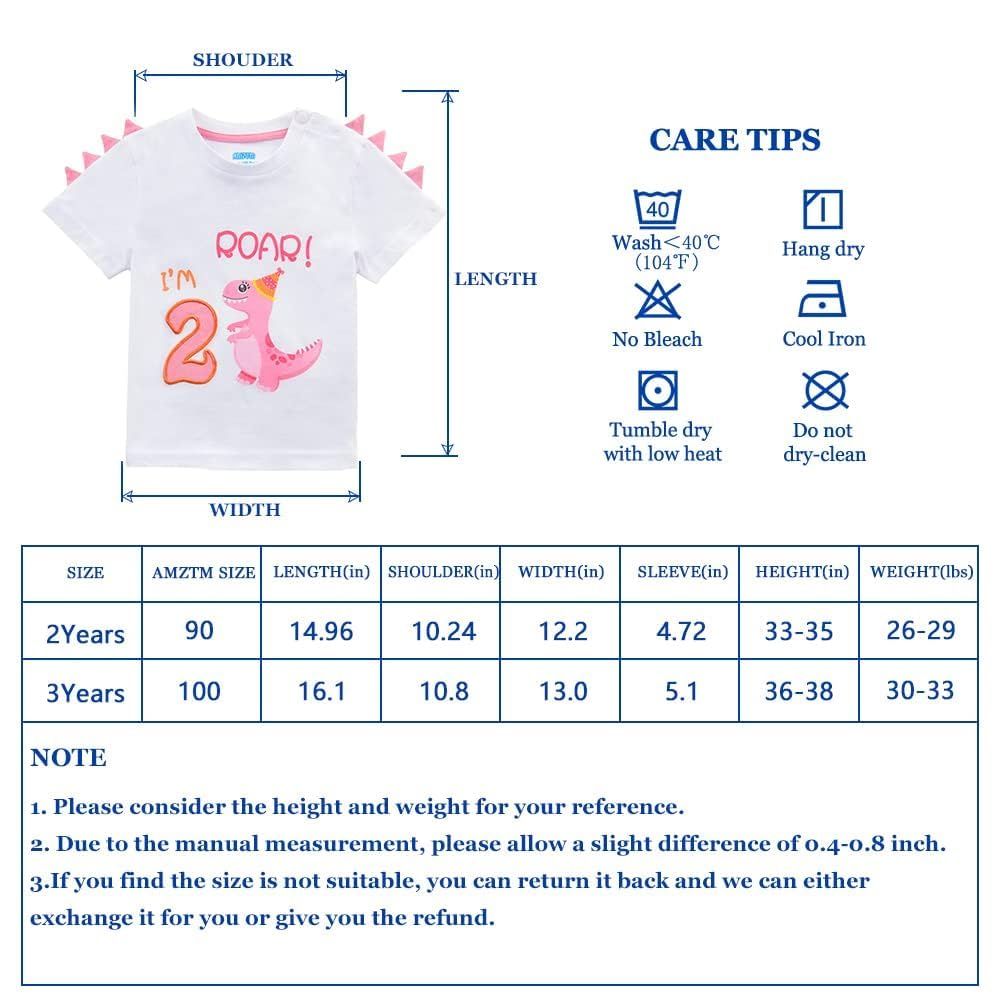 AMZTM Girl 2nd Birthday T-Shirt Dinosaur Party B-Day Themed Tee Toddler Gift(White, 3T)