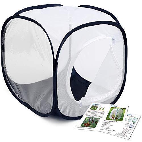 12" Butterfly Habitat Insect Cage Monarch Butterfly Enclosure for Caterpillars Pop-up 12 inches Tall Polyester Bottom for Easier Clean
