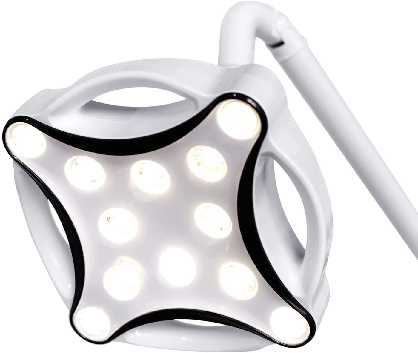 EustomA 30W LED Shadowless Light Mobile Type Portable Auxiliary Floor Lamp LED Cold Lamp with 12PCS High Power Light Sources